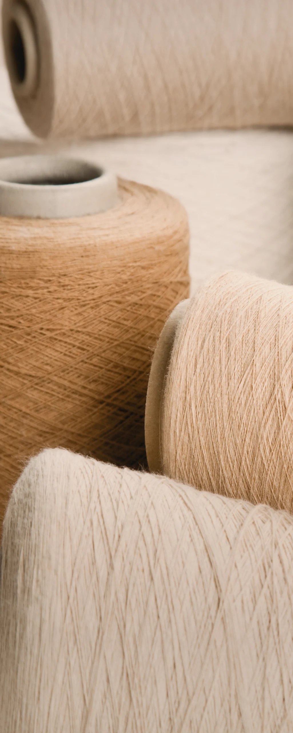 Yarn cones · OCC - Organic Cotton Colours