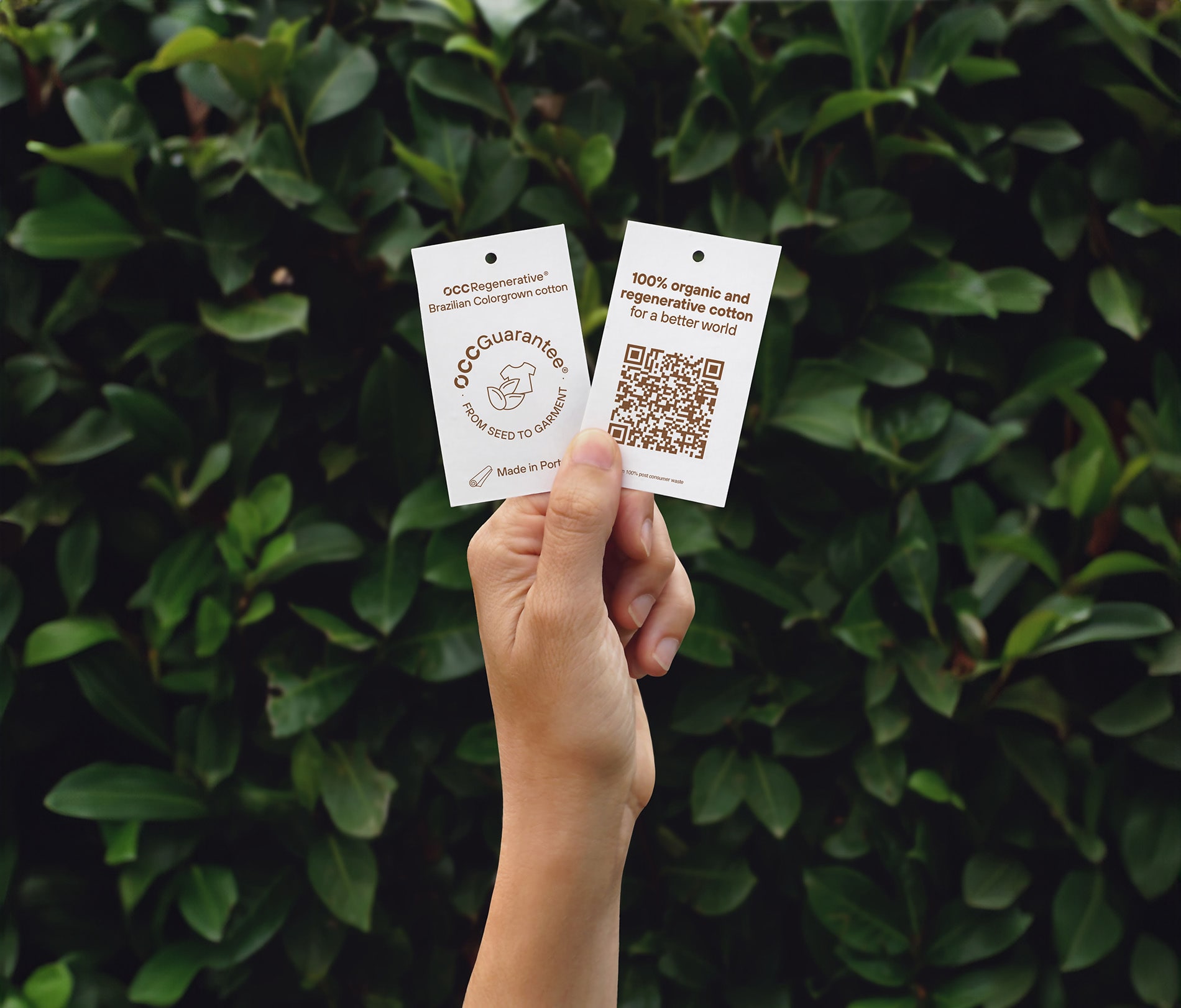 Digital Product Passports: A Transparency Revolution in the Fashion ...