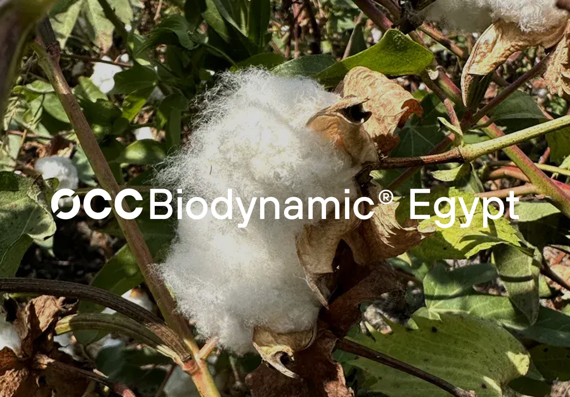 OCCBiodynamic® Egypt Fabric · OCC - Organic Cotton Colours